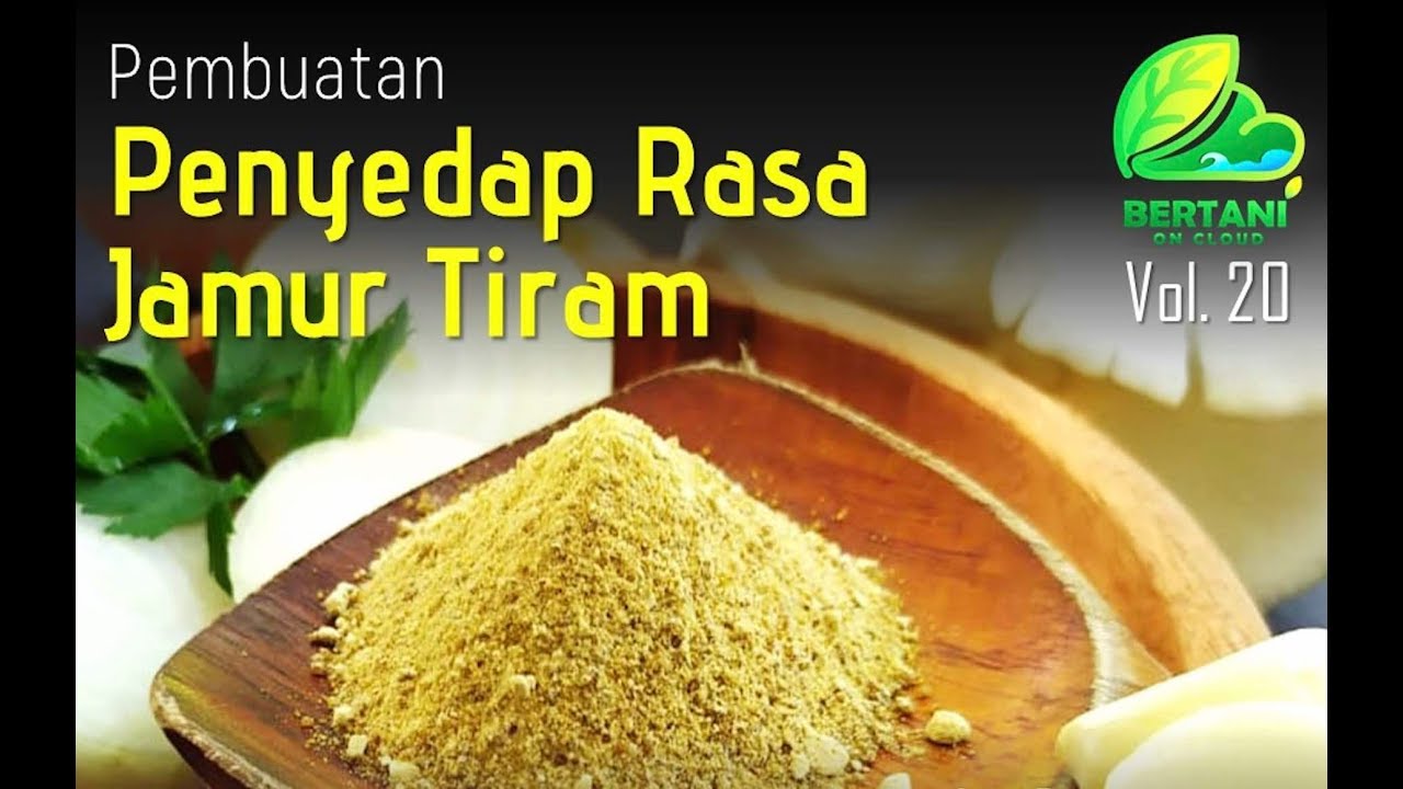 BOC Vol.20 Pembuatan Penyedap Rasa Jamur Tiram - YouTube