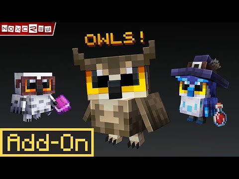 OWLS | FREE Add-On Showcase | Minecraft Marketplace - YouTube