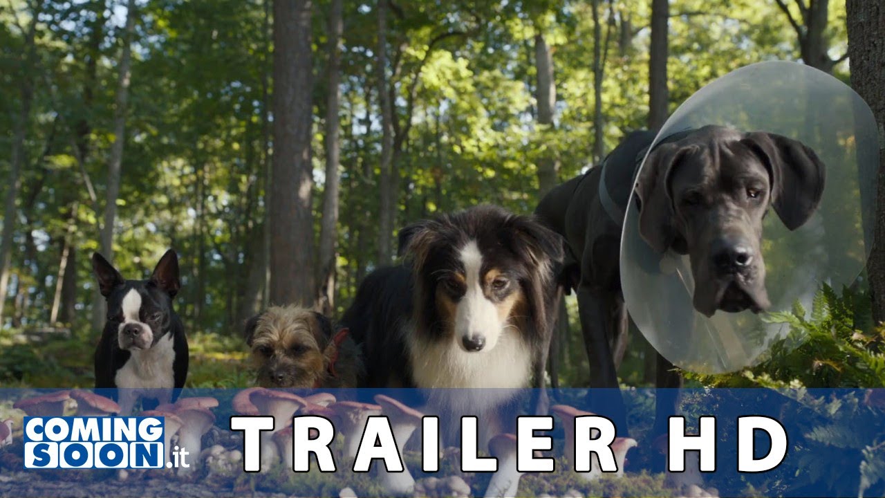 DOGGY STYLE (2023) Trailer ITA del Film commedia - HD - YouTube