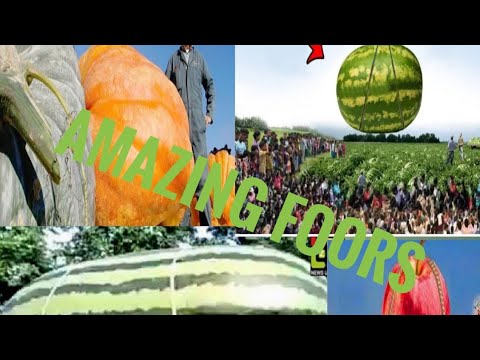 Satisfynig.Ahammod Vi ASMR That You Clim Original Astisfying Vedo Part ...