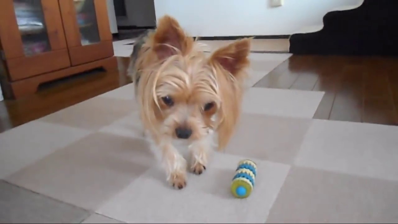 jkl;.l,m.,k;lk - YouTube