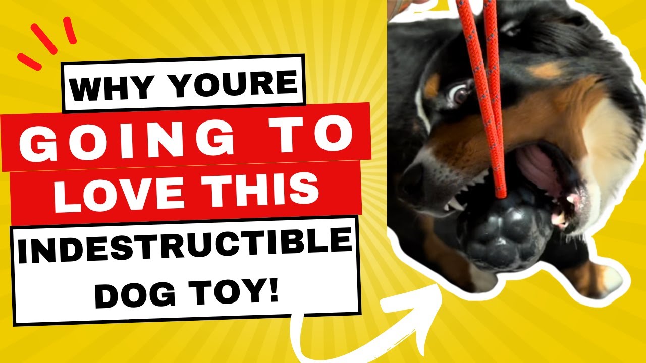 Revie wof this Monster K9 XL Dog Ball with Lifetime Replacement - YouTube