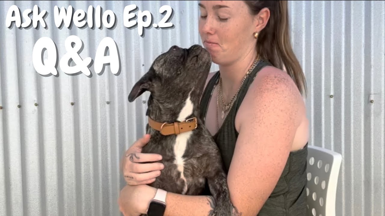 Q&A | Ask Wello Ep 2 - what do I think of India, Womens IPL & who would ...