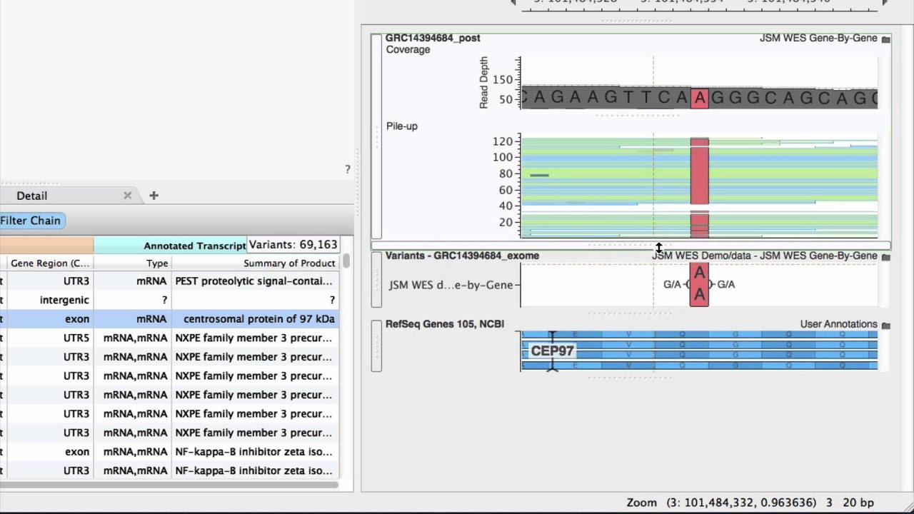 Getting Started with VarSeq - YouTube