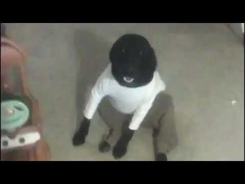 eeeeeeeee eee eee eeeeee eee eeeee eeeeeeeee eeeee eeee - YouTube