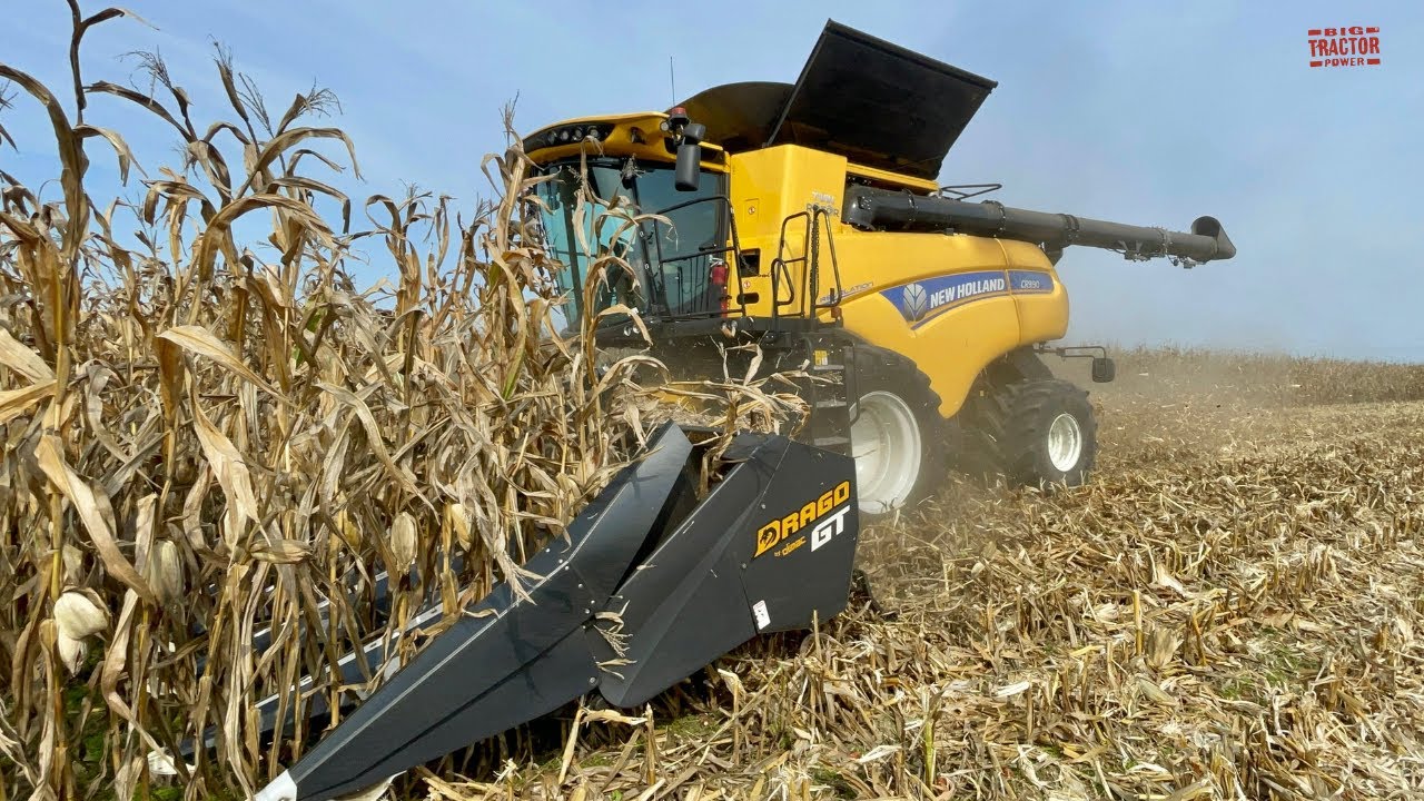 NEW HOLLAND CR 9.90 Combine Harvesting Corn - YouTube