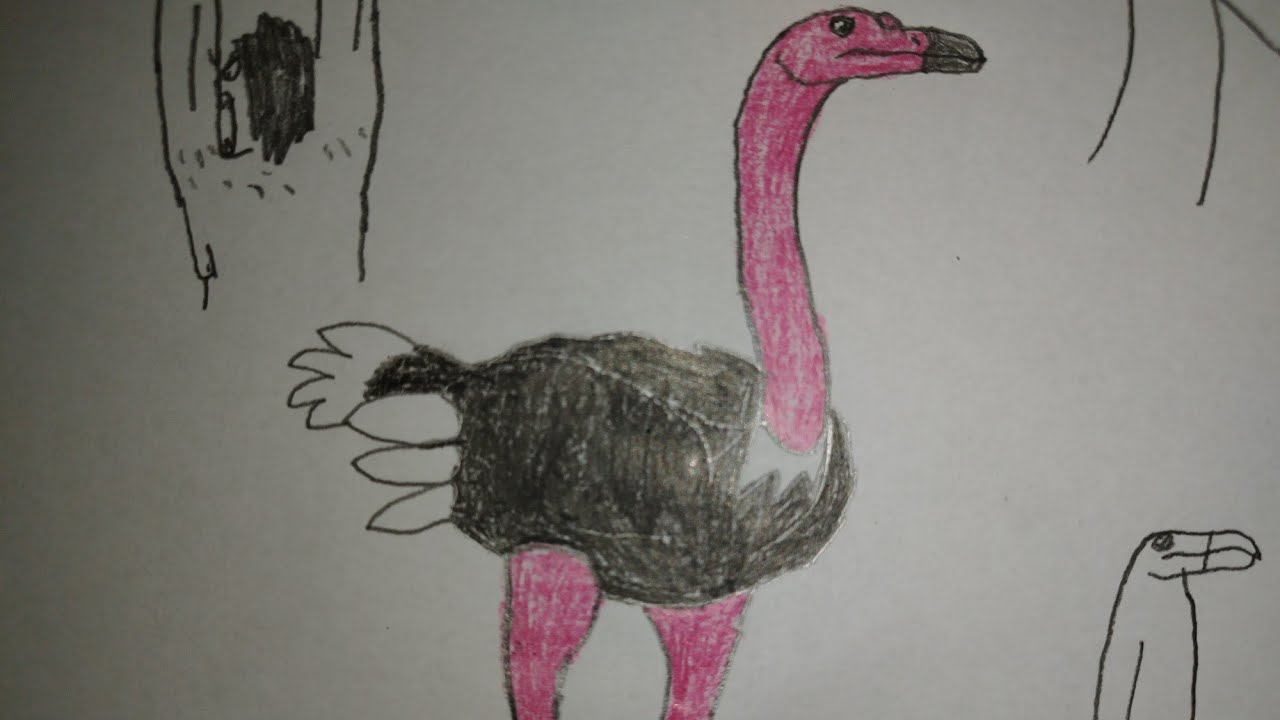 Sound Effects-North African Ostrich - YouTube