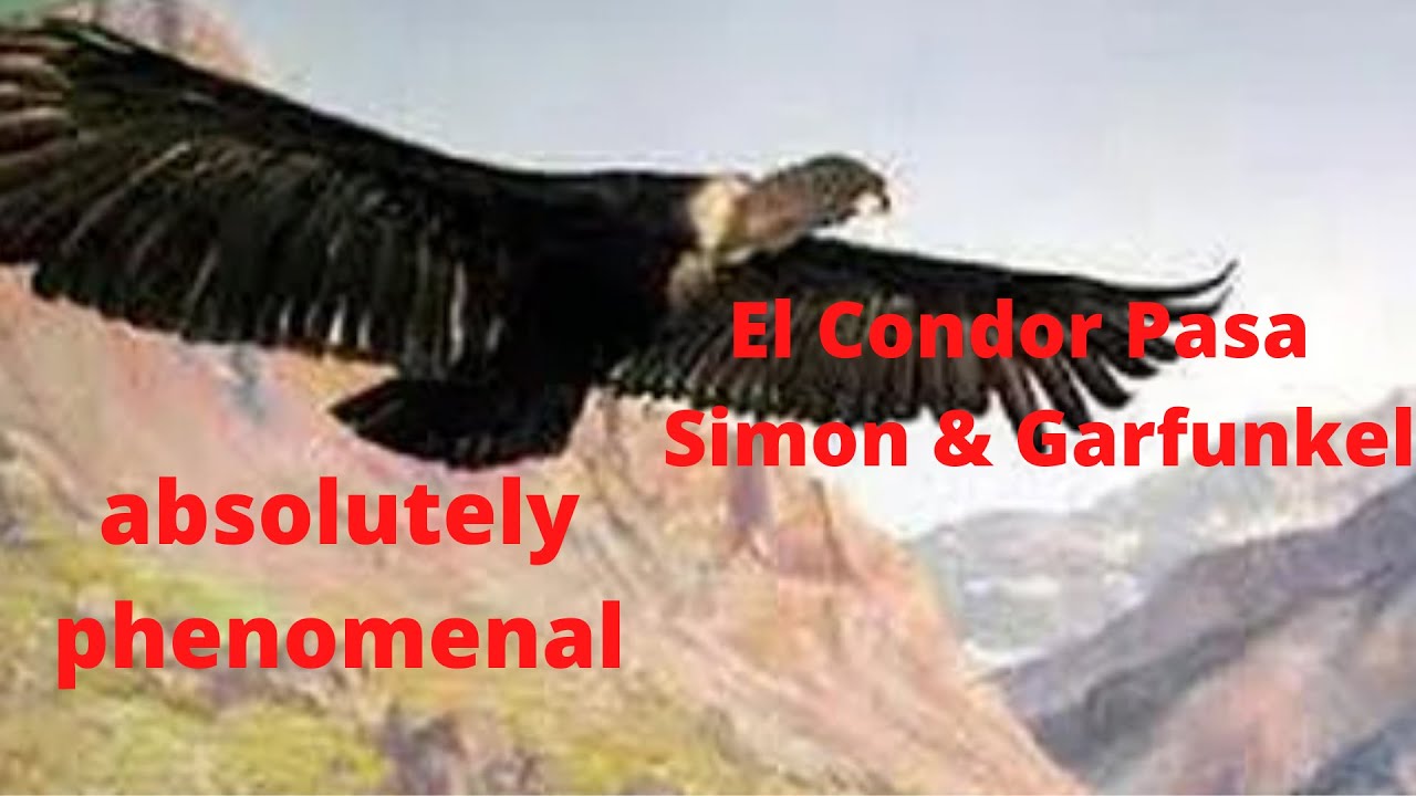 First Time Reaction To El Condor Pasa - Paul Simon & Garfunkel - YouTube