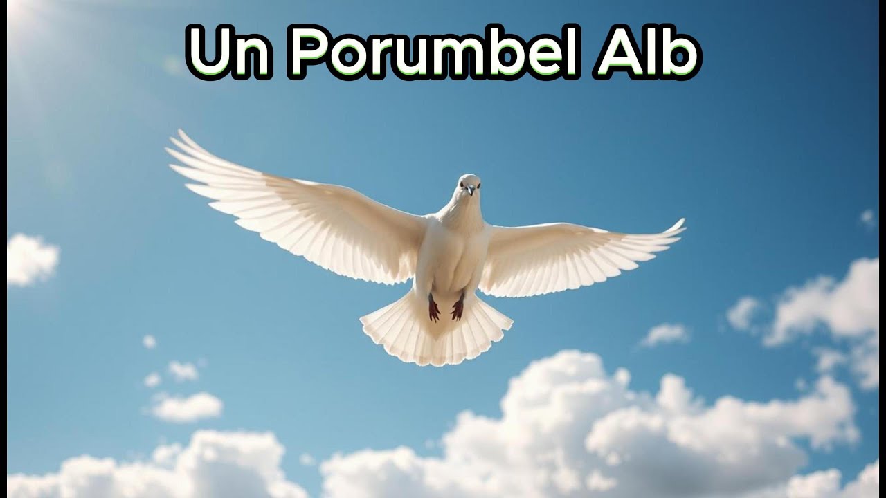 Un Porumbel Alb 🕊️ Tango modern despre magie și iubire eternă 💃 ️ - YouTube
