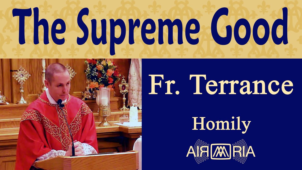 FS #30: Dogmatic Christocentrism, Part 2 - Jun 22 - Homily - Fr ...