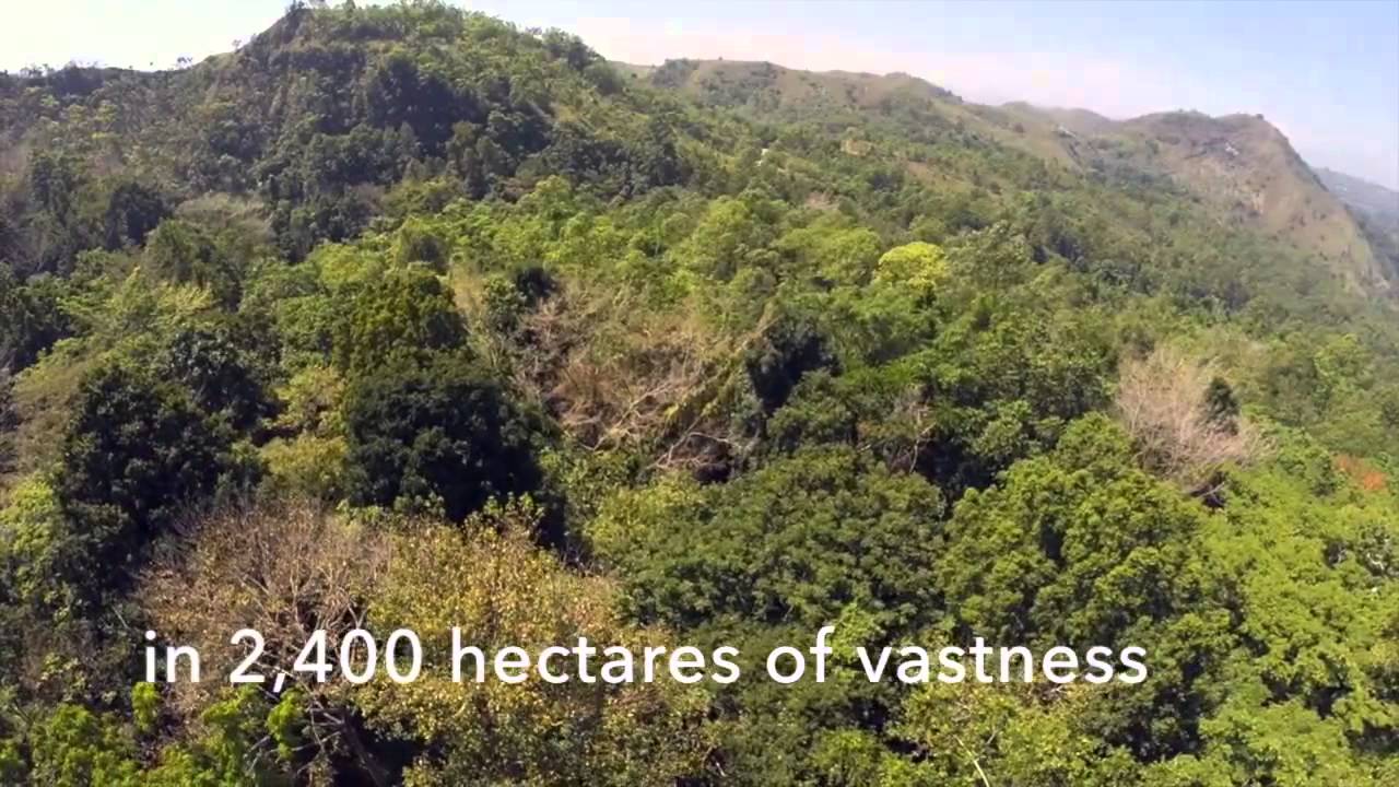 Aerial Mapawa Nature Park - YouTube