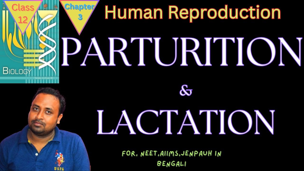Parturition and Lactation class 12 NCERT for NEET - YouTube