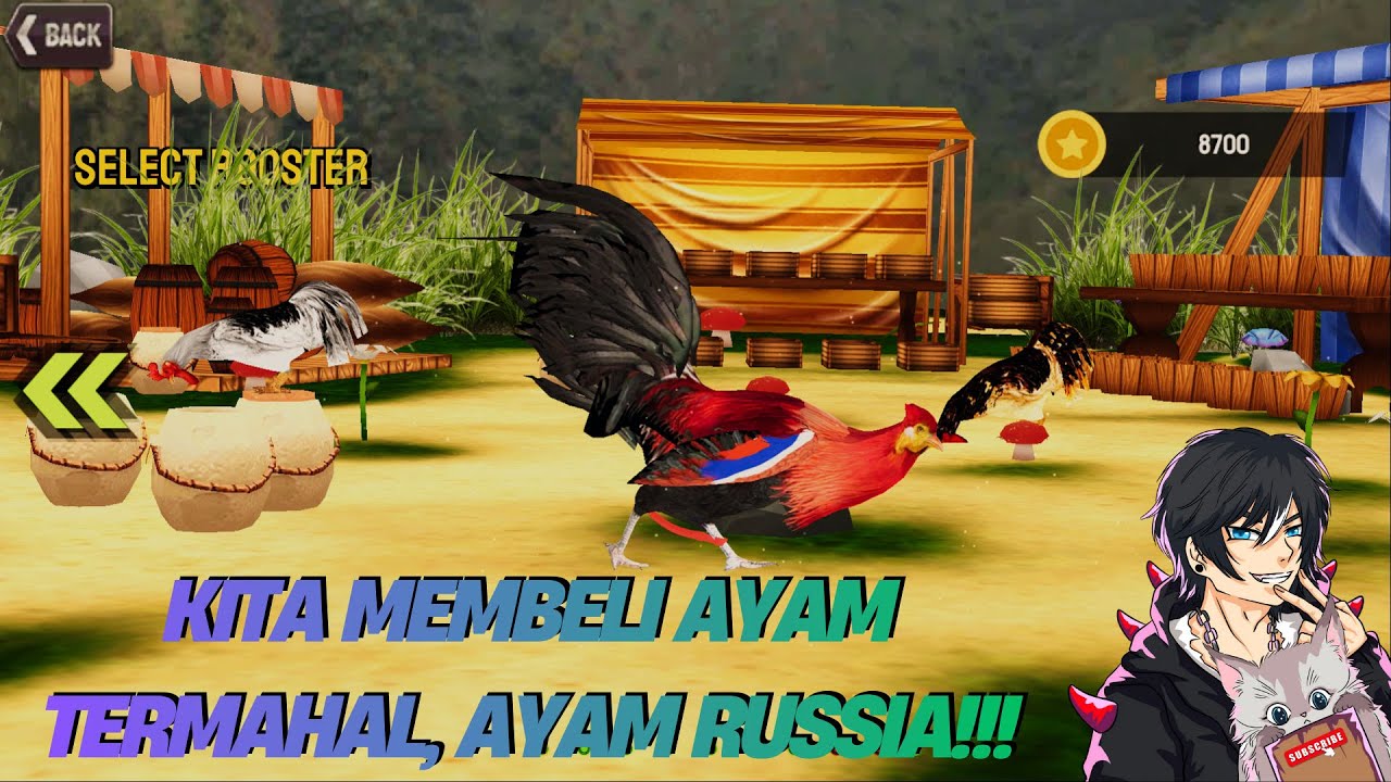 Review Ayam Jago Dari Russia, Ini Adalah Ayam Jago Termahal ...