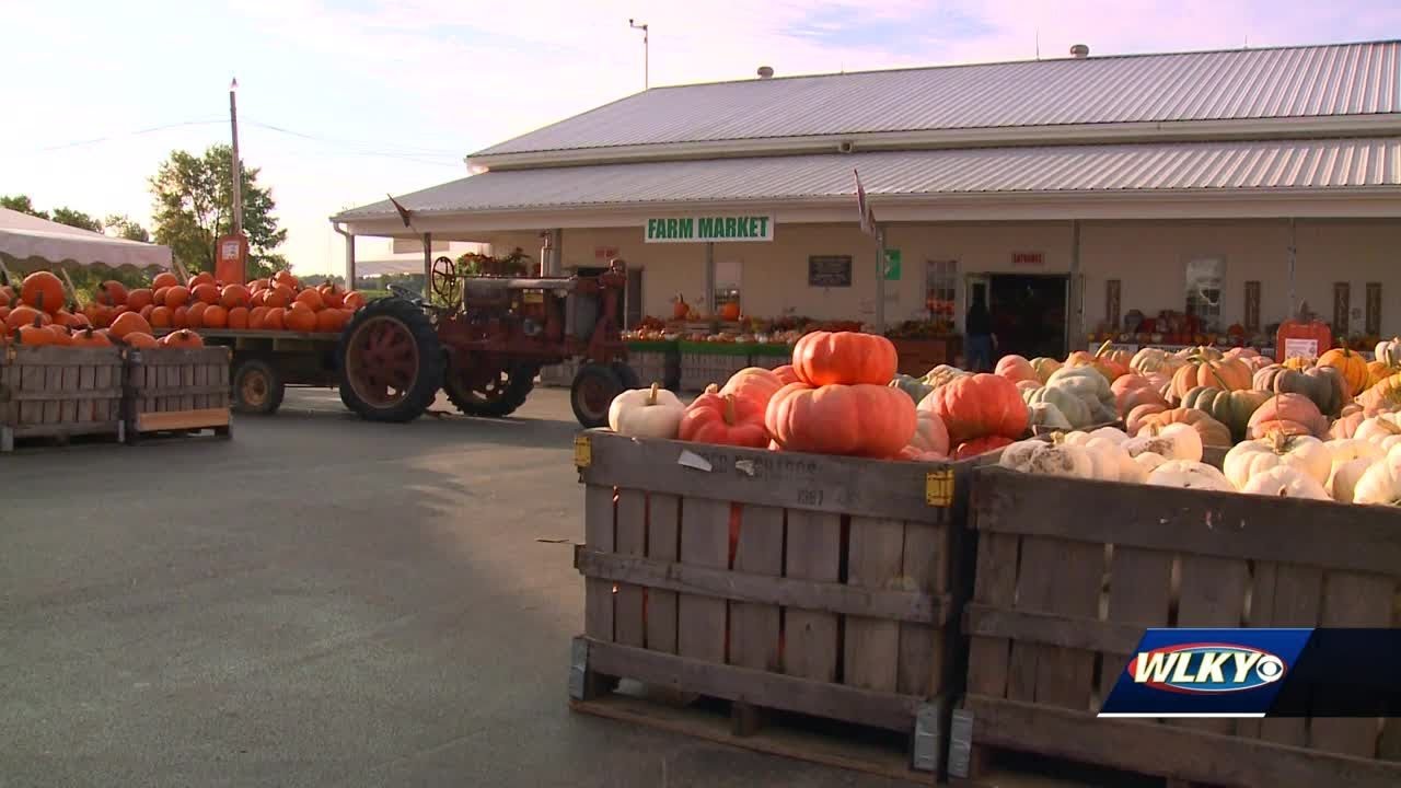 Hubers Orchard and Winery celebrating fall by giving a little back ...