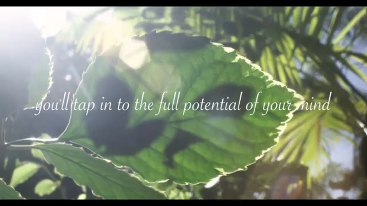 How To: Learn Guided Meditation To Reprogram Your Subconscience - YouTube