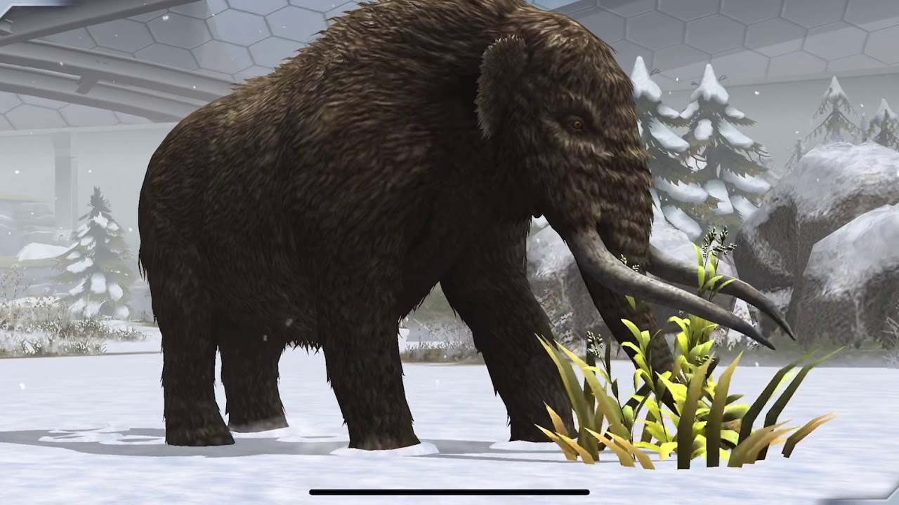 Feeding Mastodon Evo 1 - YouTube