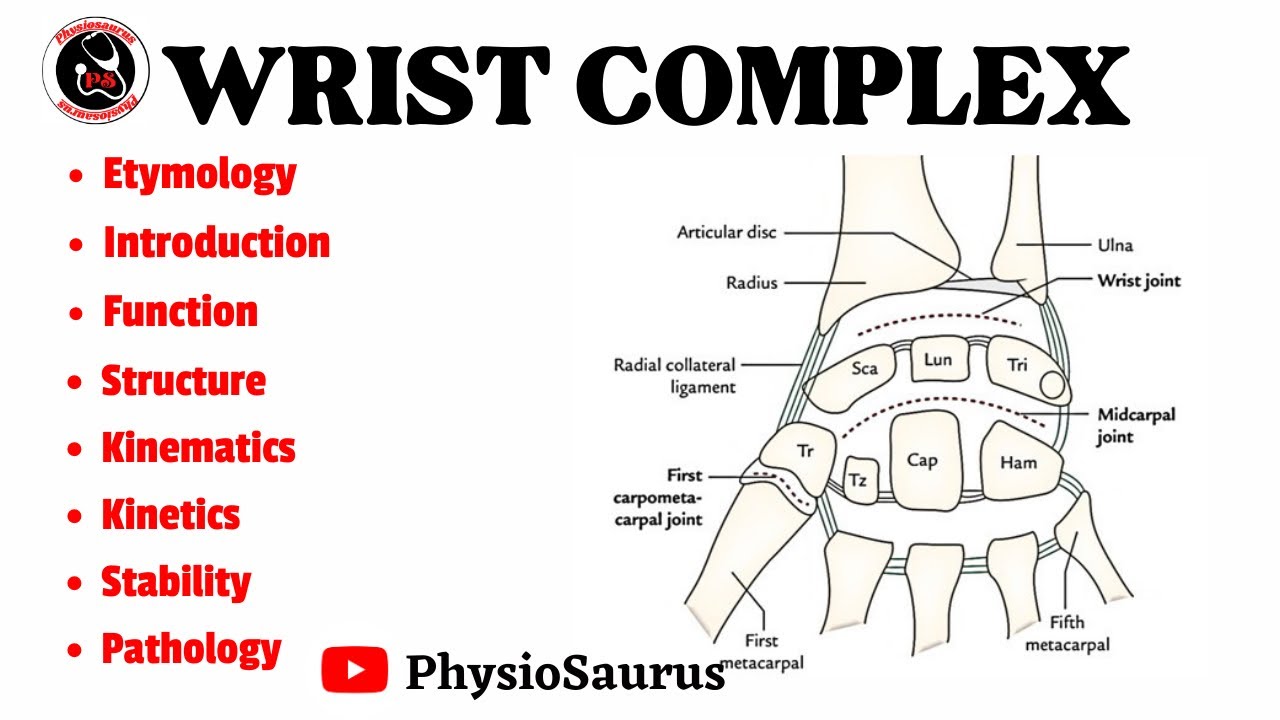 Wrist complex | Introduction | Function | Structure | Kinematics ...