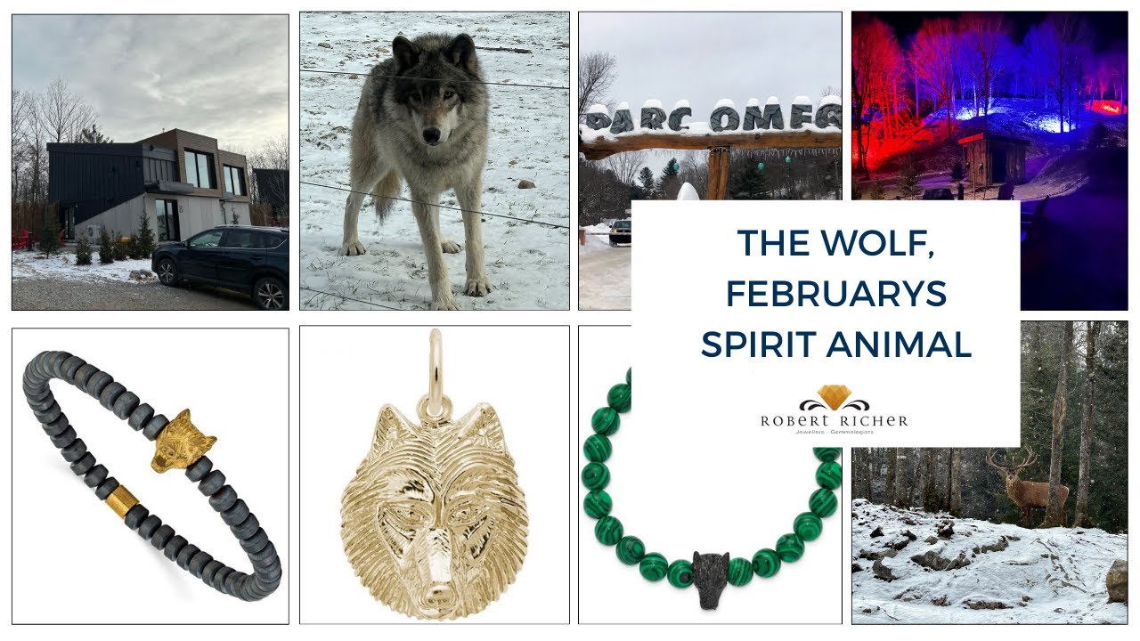 The Wolf, February's spirit animal - YouTube