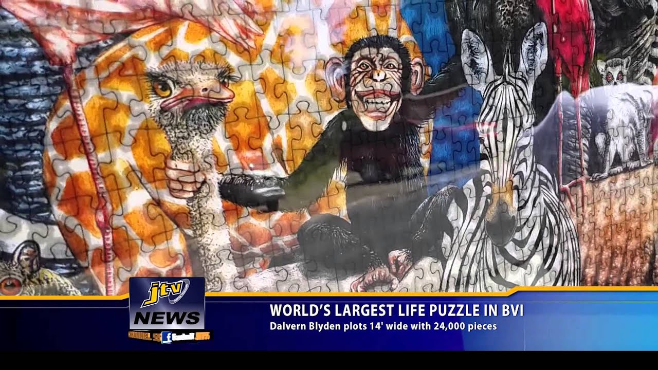 WORLD’S LARGEST LIFE PUZZLE IN BVI - YouTube