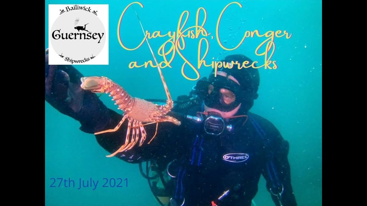 Diving with Crayfish, Congers and Shipwrecks (27th July 2021) #scuba # ...