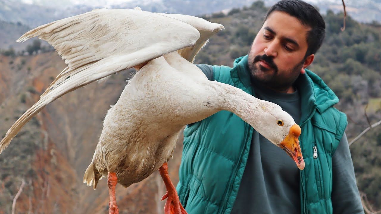 The Perfect Tandoori Goose Recipe / Cooking goose with ash - YouTube