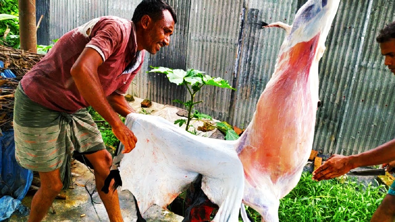 Full Goat Cutting Skills. Goat Cutting Cleaning Skills. Goat Cutting ...