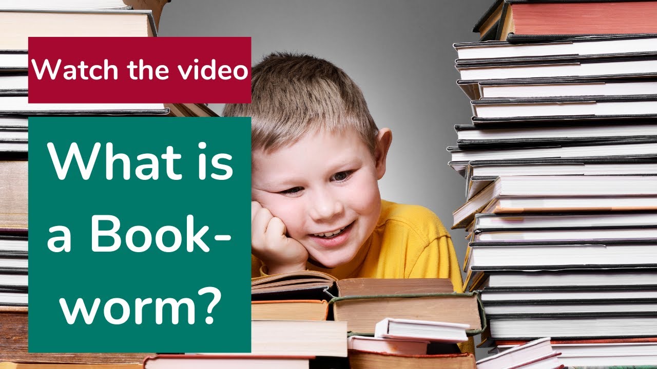 What Is A Bookworm YouTube what-is-a-bookworm-youtube