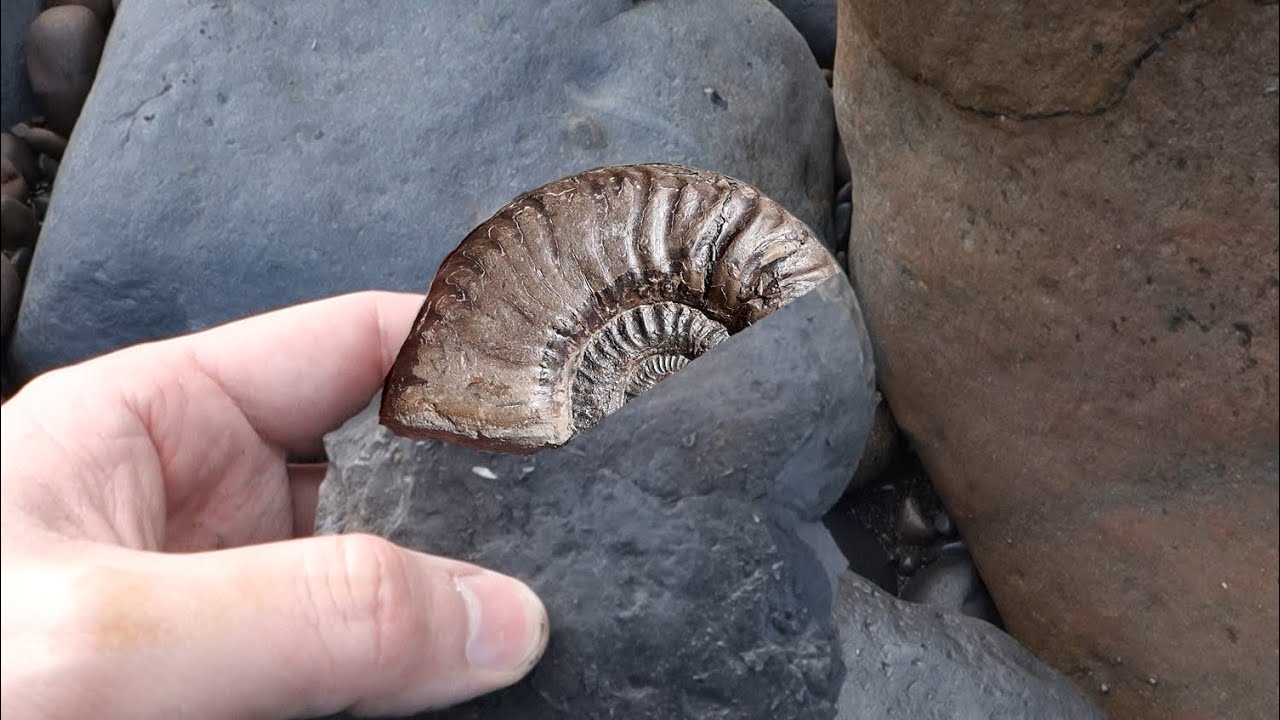 Before-After Ravenscar Rarity - YouTube