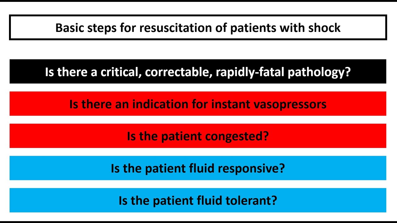 Fluid resuscitation in circulatory shock - YouTube
