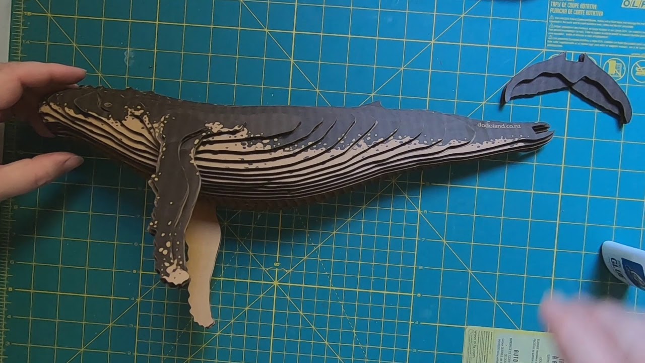 ASMR Model building | Humpback Whale model build - YouTube
