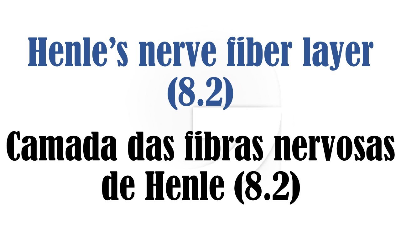 Henle's nerve fiber layer (8.2) | Camada das fibras nervosas de Henle ...
