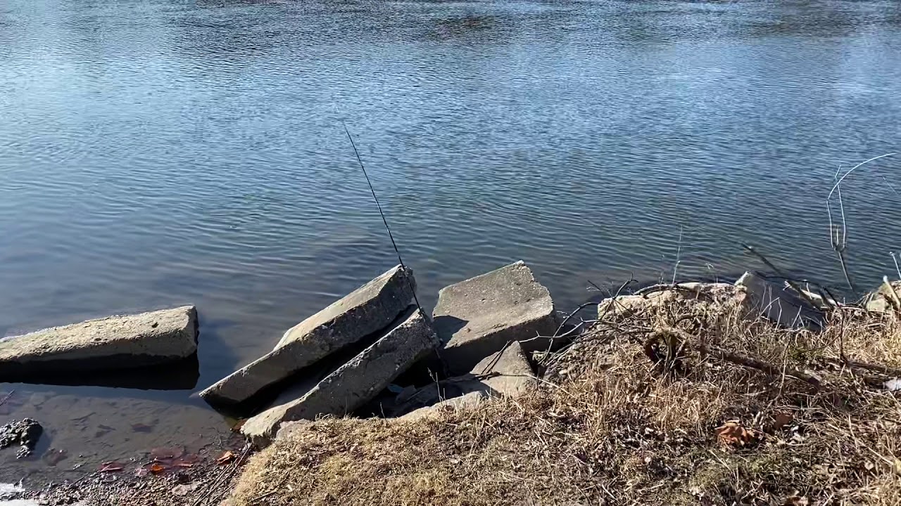 Fishing for big Catfish in the Rock River - YouTube
