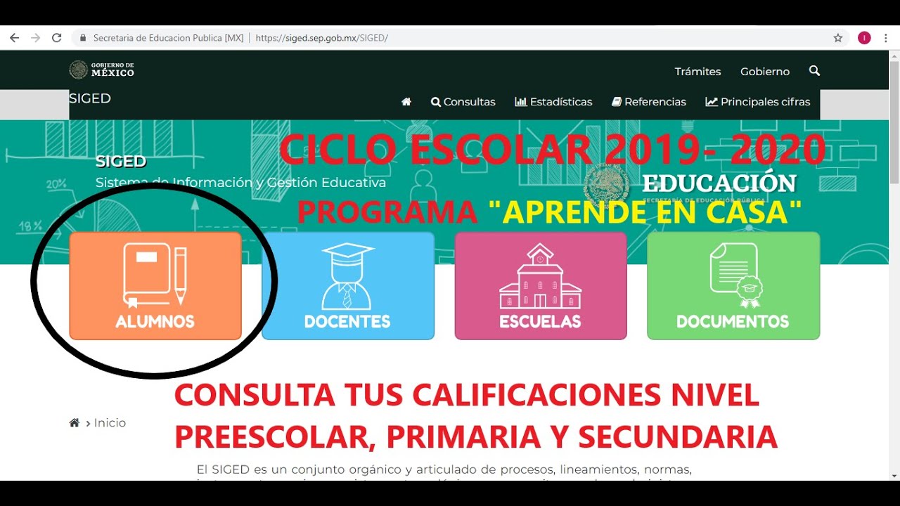 COMO VER LAS CALIFICACIONES DE LOS ALUMNOS POR INTERNET - YouTube
