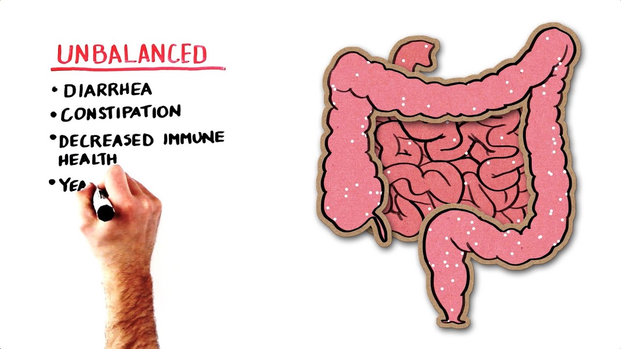 Probiotics - YouTube