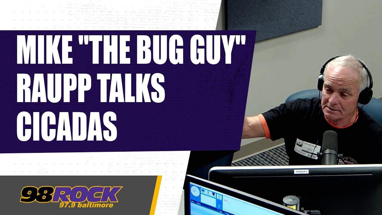 Mike "The Bug Guy" Raupp Talks the Great Cicada Invasion and All Things ...