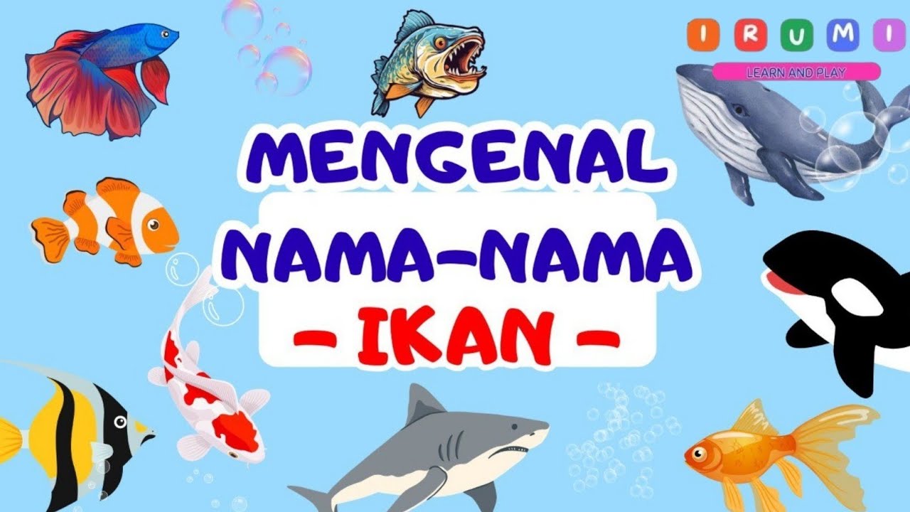 Mengenal Nama-Nama Ikan Dalam Bahasa Inggris Dan Indonesia - YouTube