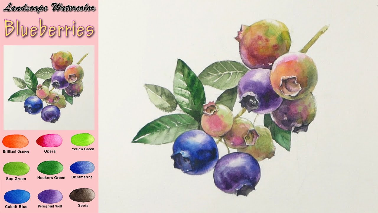 Blueberry - Drawing Fruit Landscape Watercolor.(wet-in-wet. Arches ...