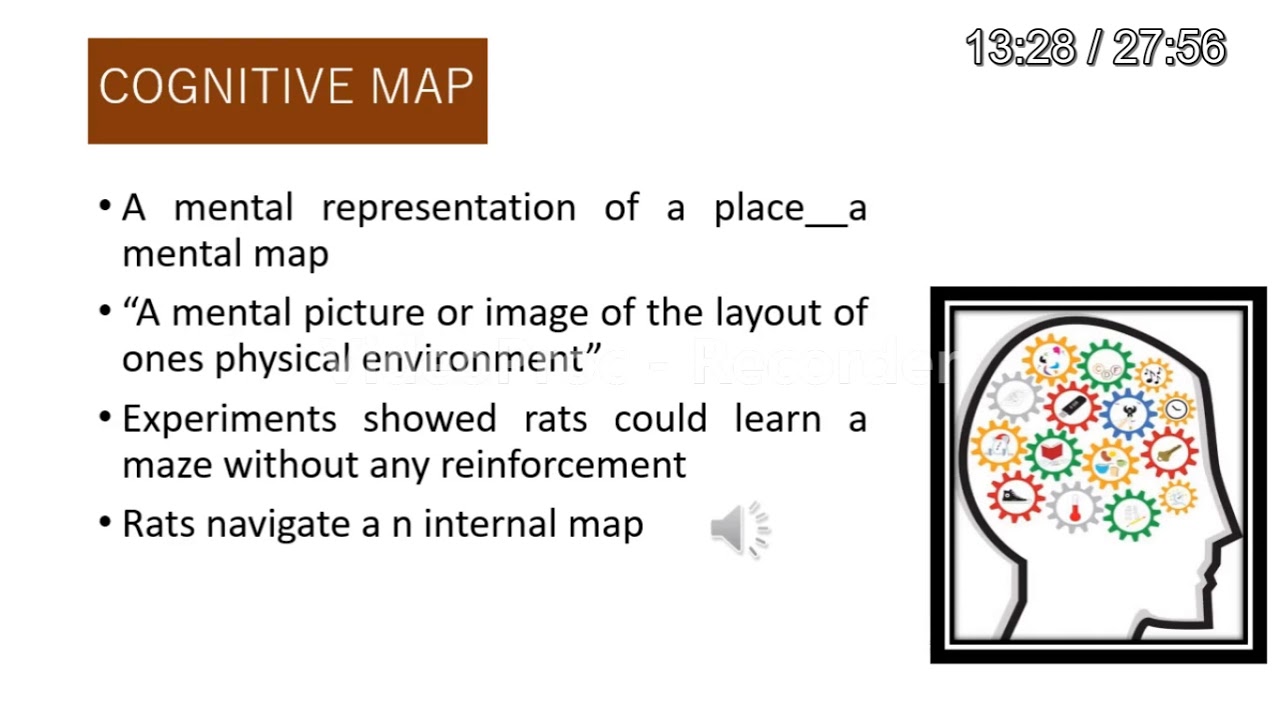 Latent and Insight Learning Easiest and Shortest Way Of Understanding ...