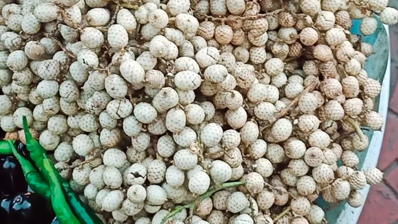 Unique Bet Fol Fruits | Very rare Bangladeshi street food - YouTube