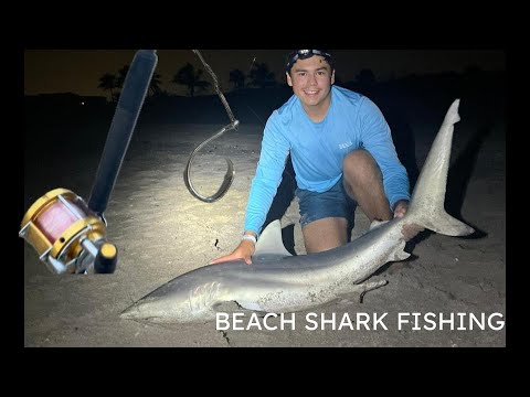 HOW TO TIE Shore based Shark RIG {Blacktip Shark tested} Shark Fishing ...