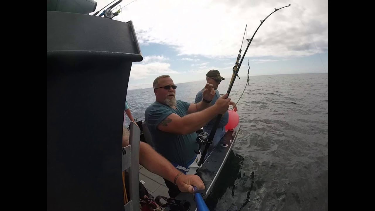 Use My Rod YouTube use-my-rod-youtube