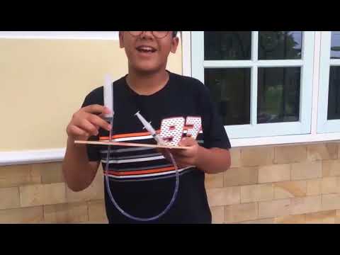 niko hukum pascal akhir - YouTube