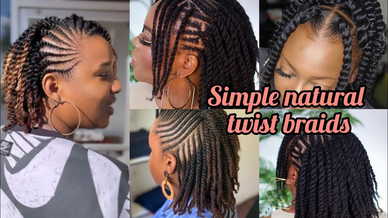 Simple natural twist braids hairstyles | Twist hairstyles | Twist ...