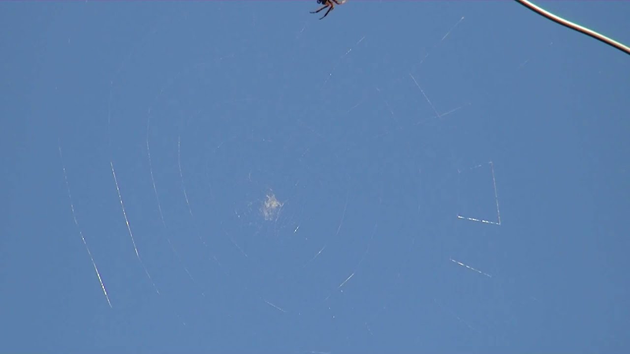 40-80 Meter Dipole Spider.m2ts - YouTube
