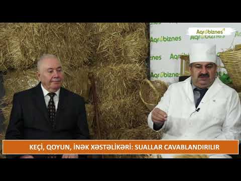Əbülfət Alıyev- heyvandarlıq üzrə suallar baytar və zootexnik tərəfindən cavablandırılır.