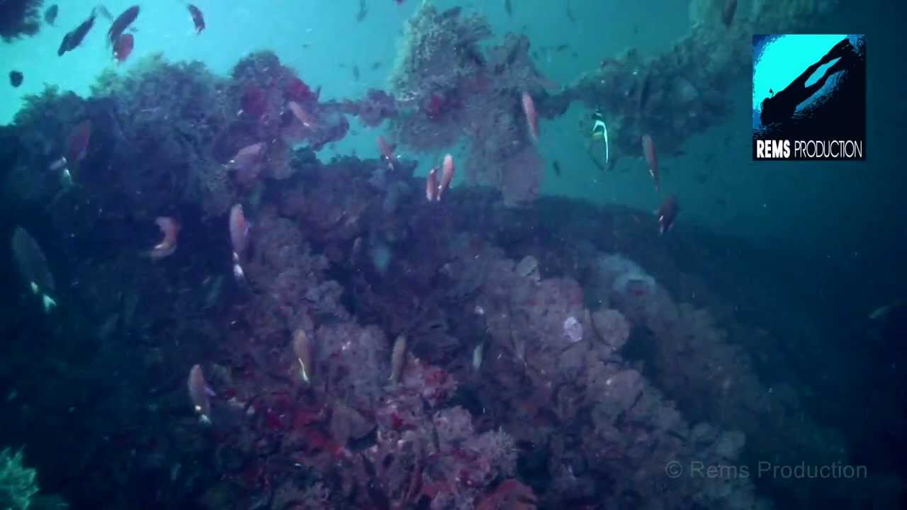 Diving Sea Chart Wreck, Similan Islands, Thailand - YouTube