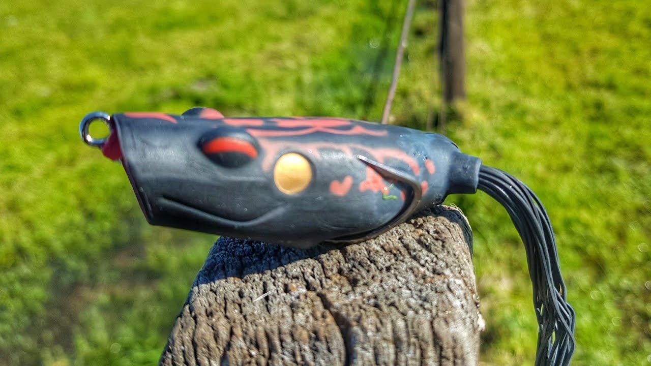 TESTE DA STORM POPPER BLOOP - UMA ISCA QUE... PESCARIA DE TRAIRA - YouTube