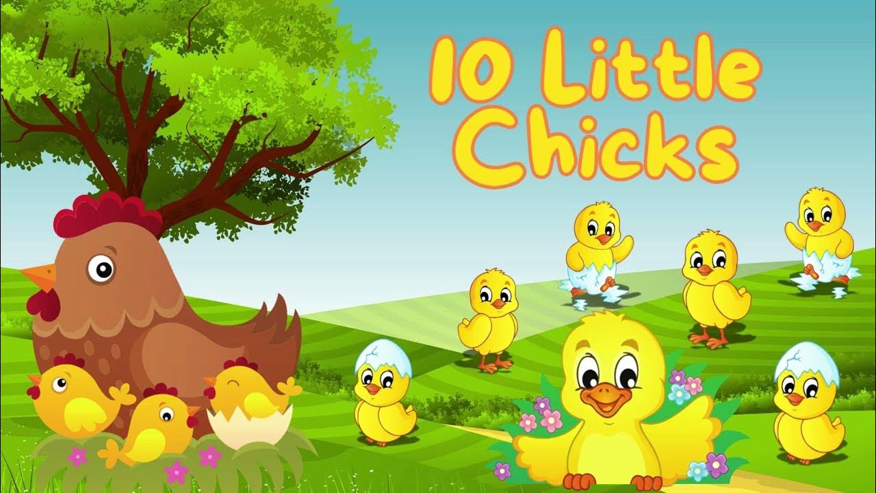 10 Little Chicks - YouTube