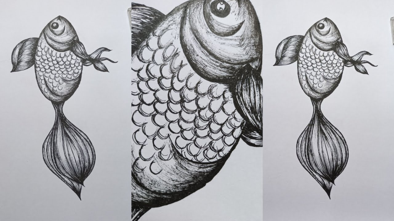 How to draw a fish | easy fish drawing | fish sketch for beginners ...