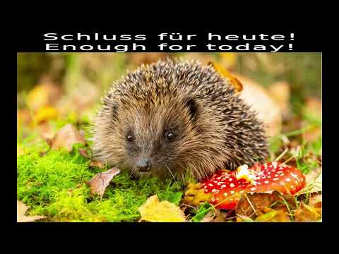 Civilization-Klon programmieren [Ada] [Ger/Eng]